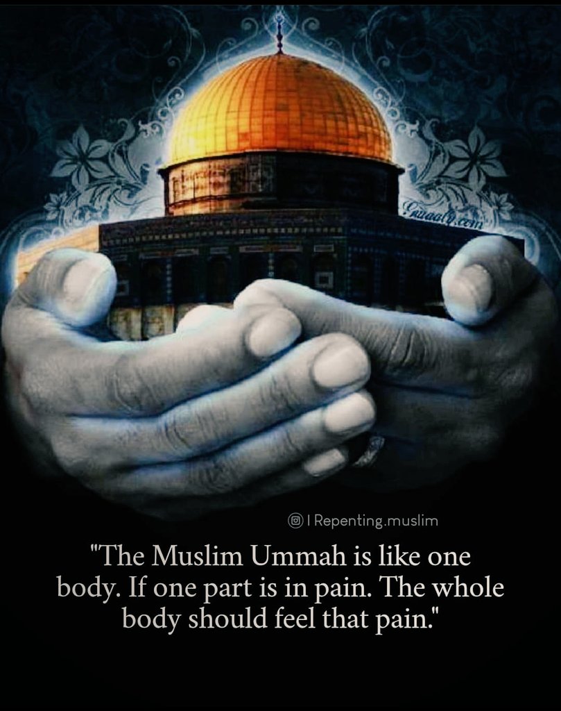 Ummah Islam