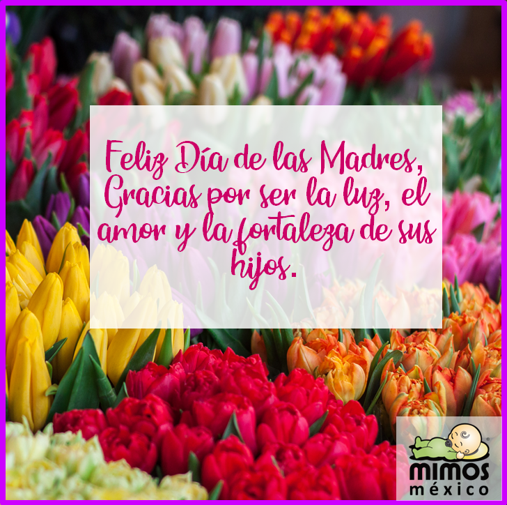 Feliz Dia De Las Madres Tarjetas Cristianas