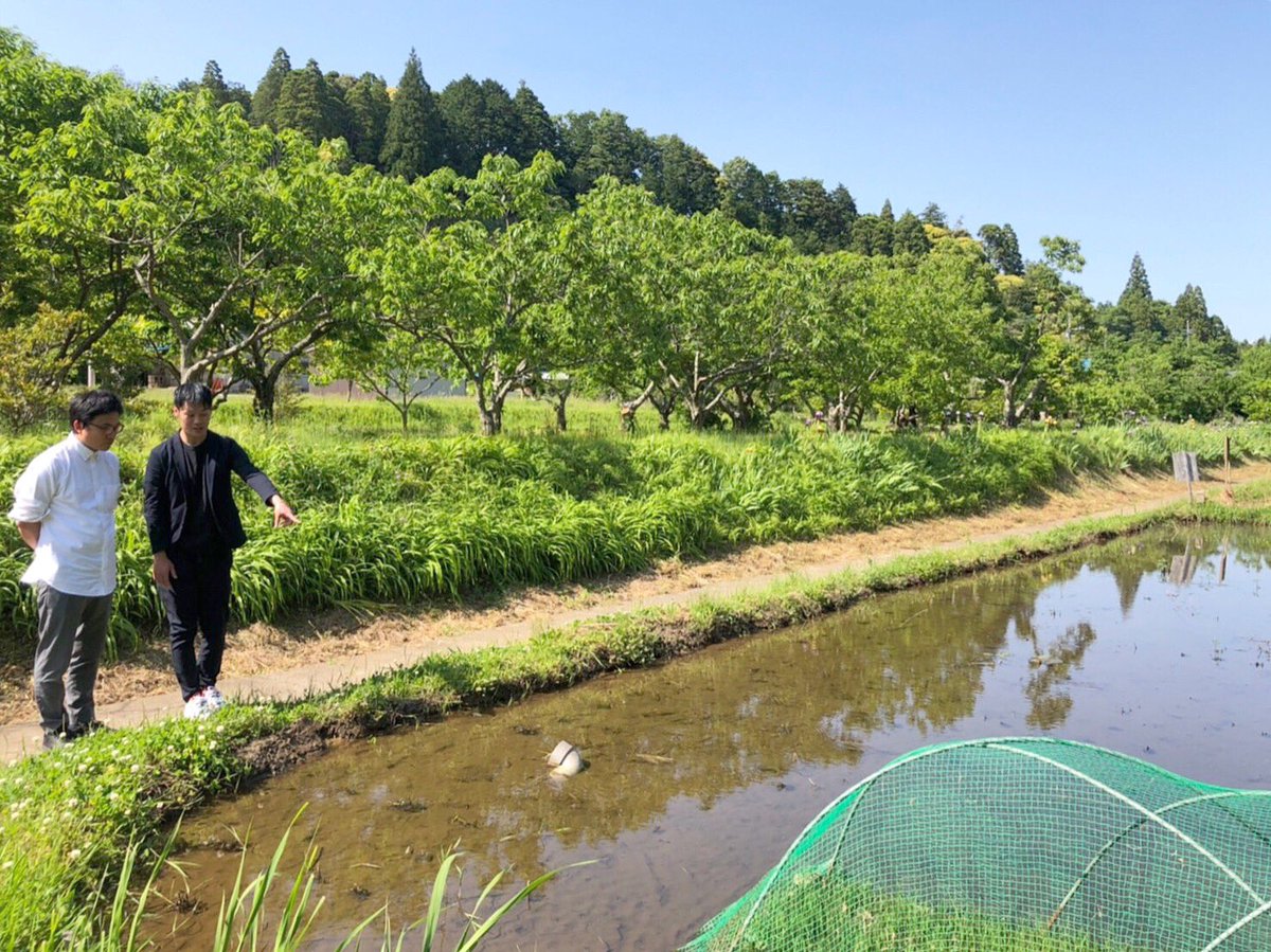 SakeBase広報部 on Twitter: "新設予定のSakeBaseラボに油長酒造の山本代表が進行状況を確認しに来て下さいました。楢樽を使用した熟成に関しては酒蔵の関係者に相談しながら ...