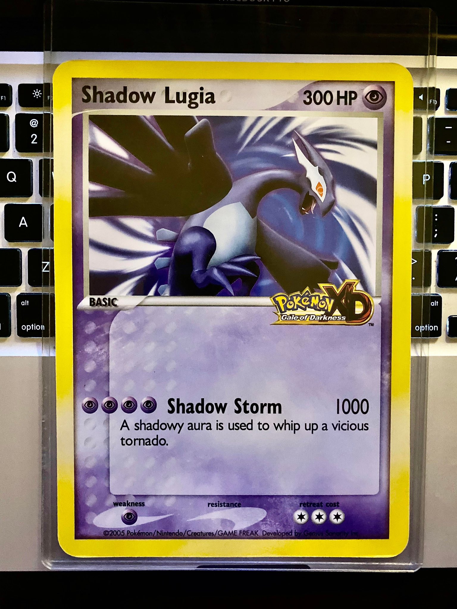 Pokemon Shadow Lugia Ex Card