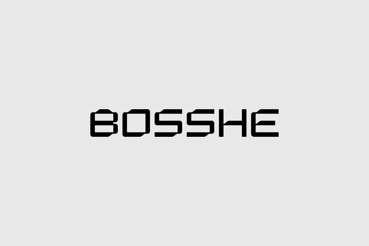 Roland Boss Logo
