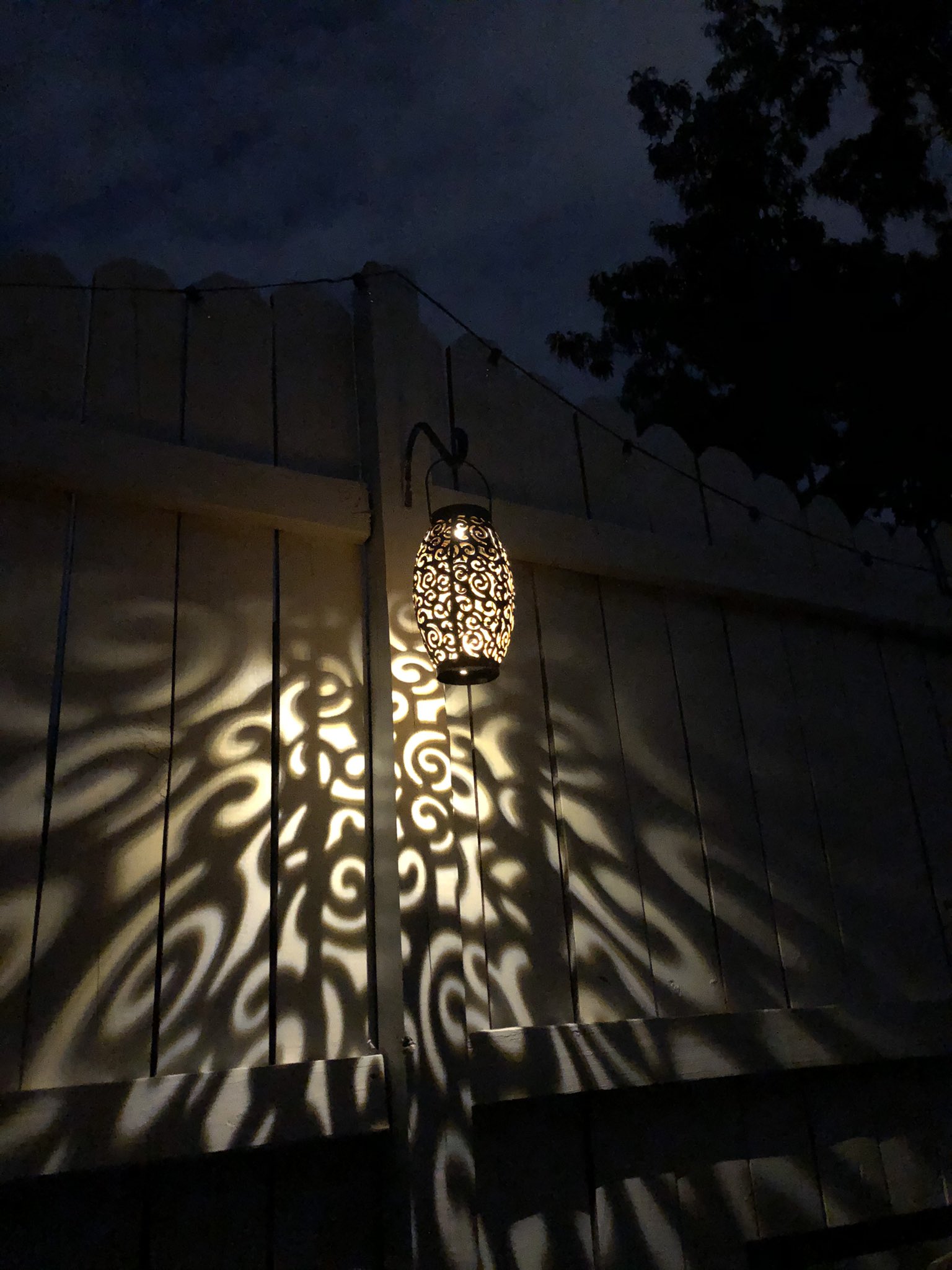 sissi henley on Twitter: "Thanks @KipHenley for my solar lanterns. I do love them! https://t.co ...