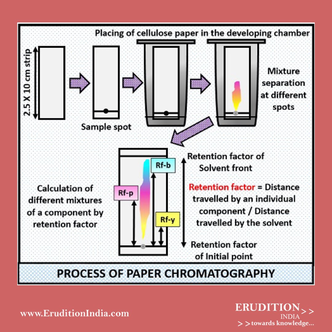 Paper Chromatography Chemistry