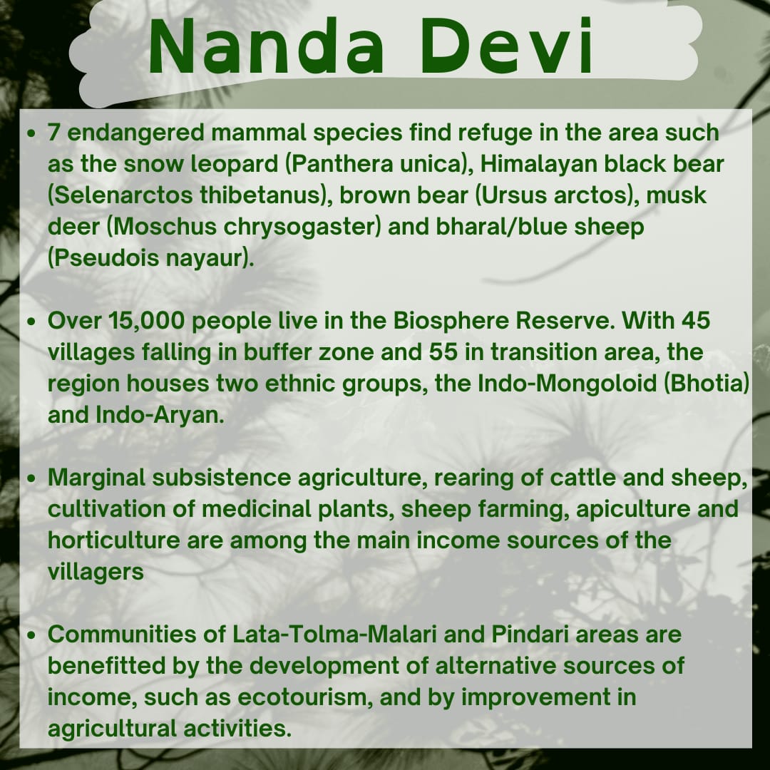 Nanda Devi Biosphere Reserve Flora And Fauna