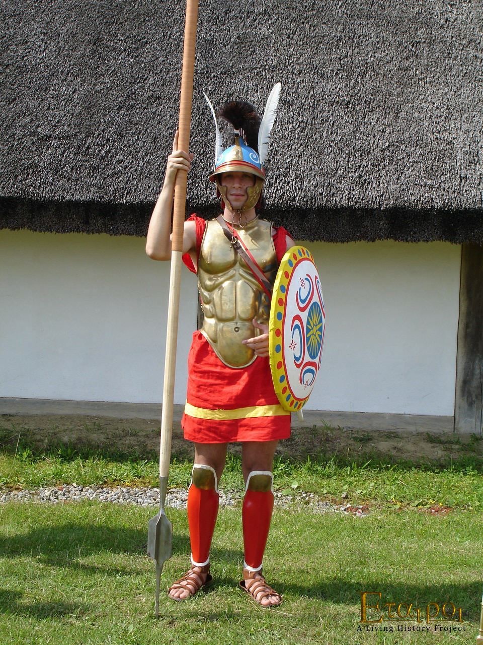 Macedonian Phalangite