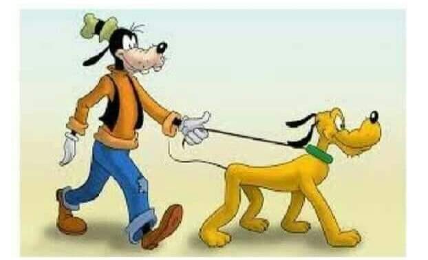 What Is Goofy If Pluto Is A Dog