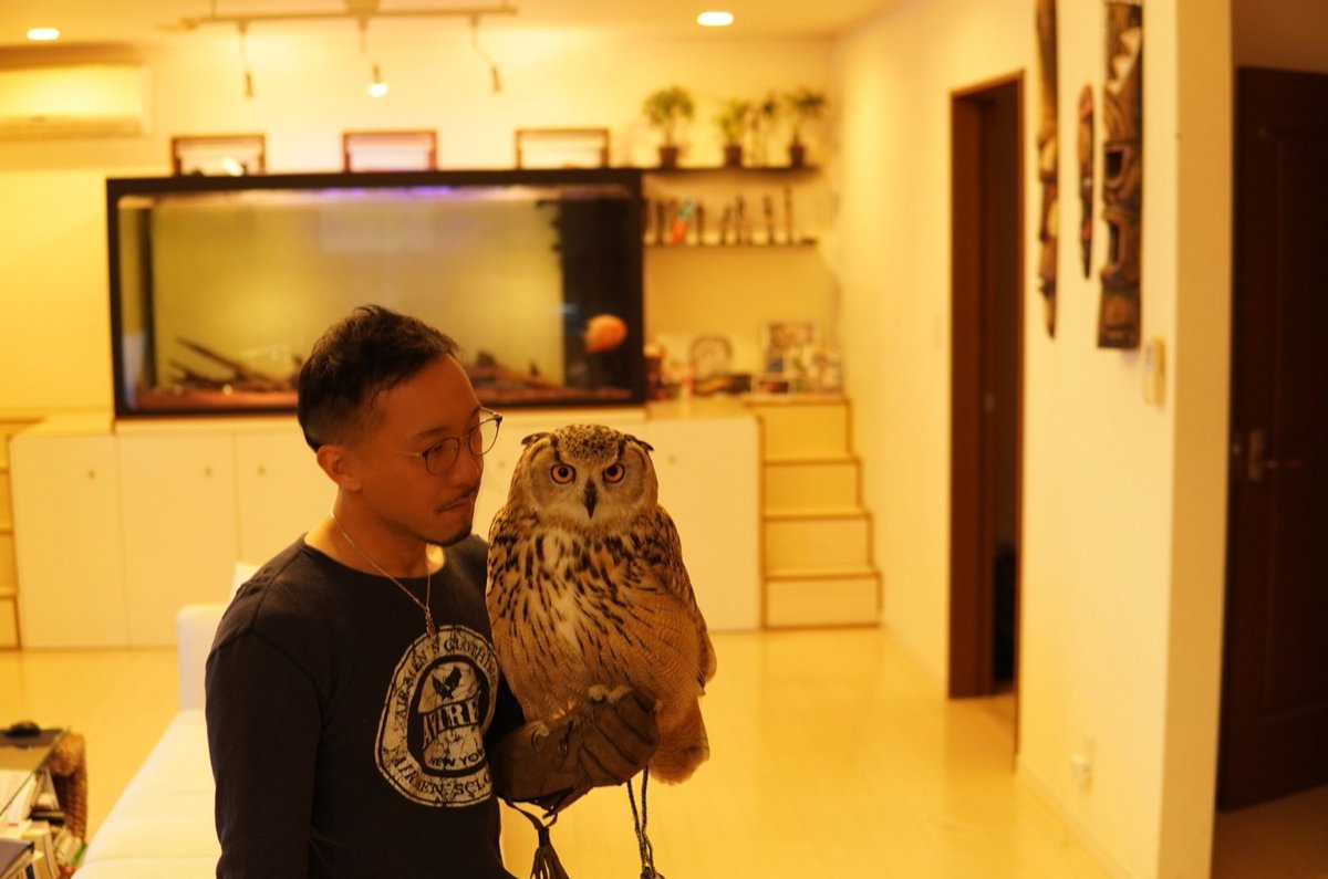 Hiro and Buffy (@eagle_owl_B) | Twitter