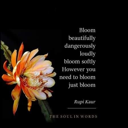 TW Pornstars - 1 pic. The Legendary Anneke * Gilf Goddess * P1863 ...