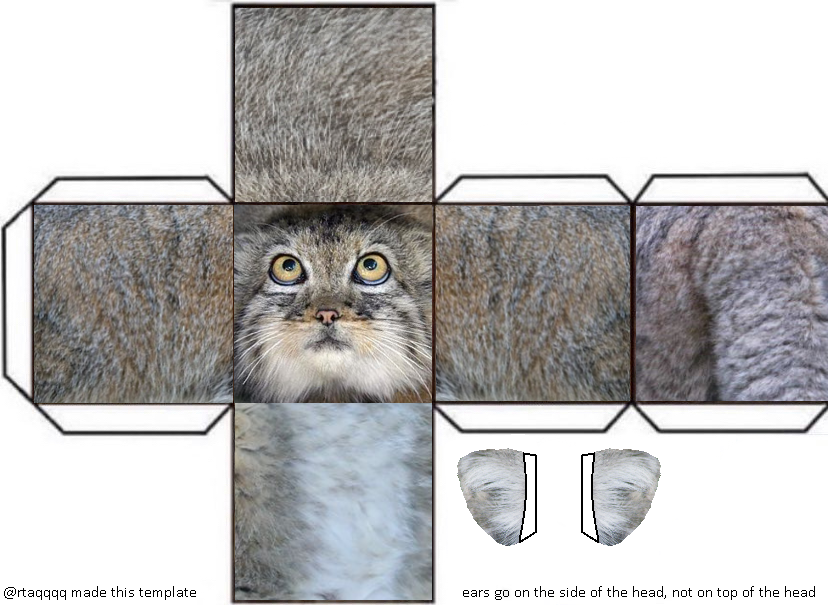 Paper Cube Template Minecraft