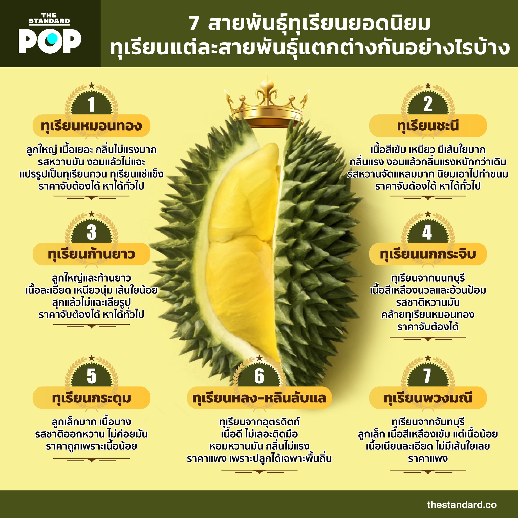 THE STANDARD POP On Twitter the-standard-pop-on-twitter