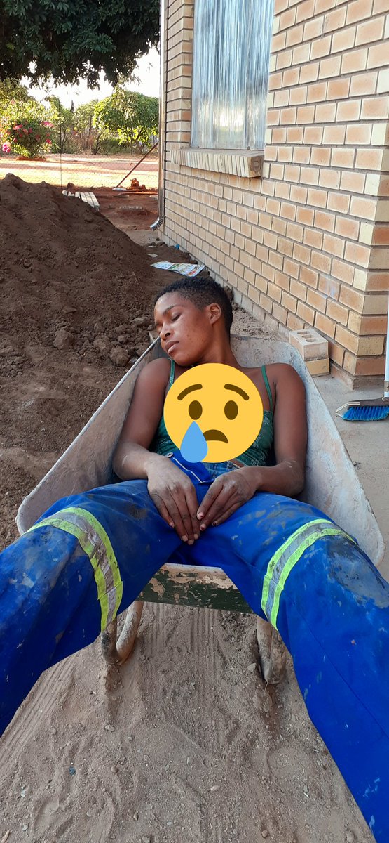 noxy noxolo (@noxynoxolo9) | Twitter