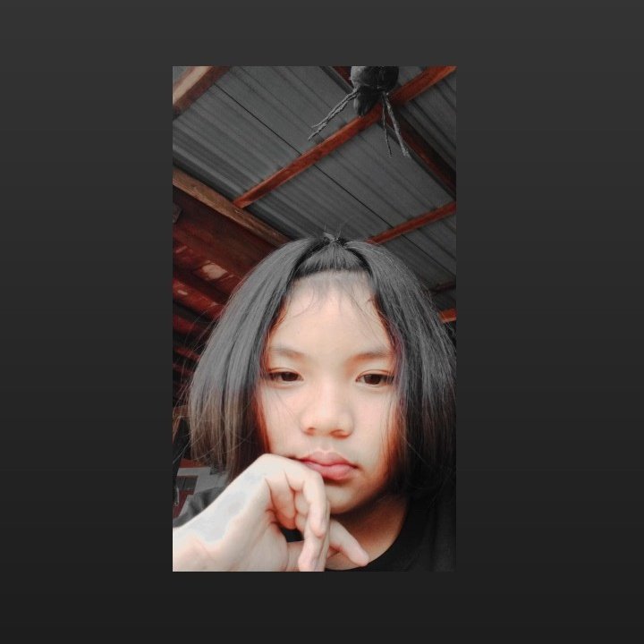 Wipada (@Wipada32882843) | Twitter