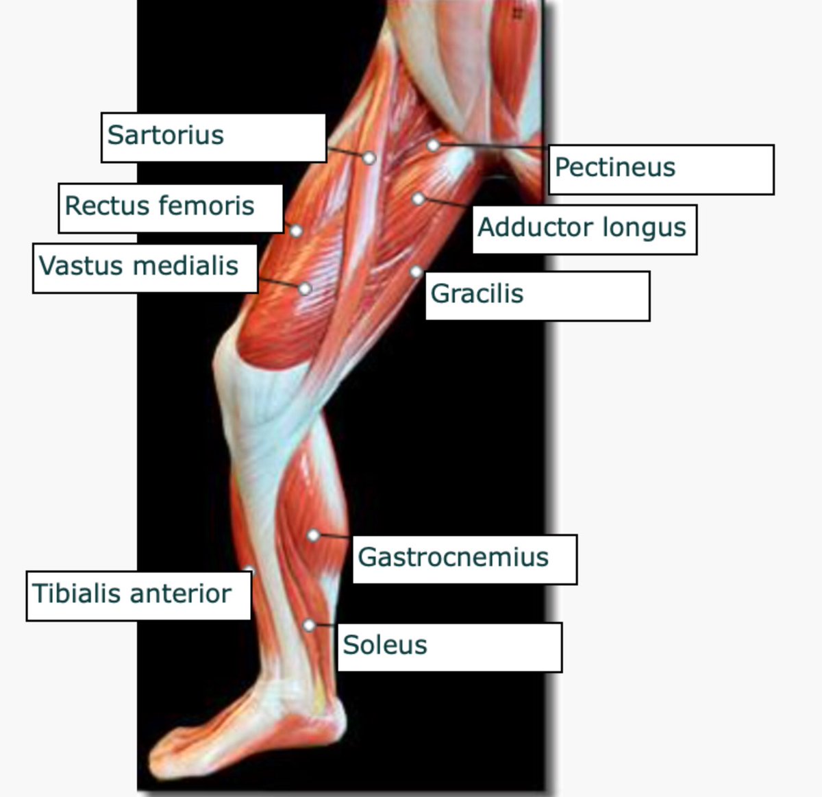 Yerlin Gomez (@YerlinGomez8) | Twitter