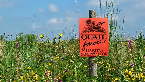 Colby Sharp (@sharpbiologist) | Twitter