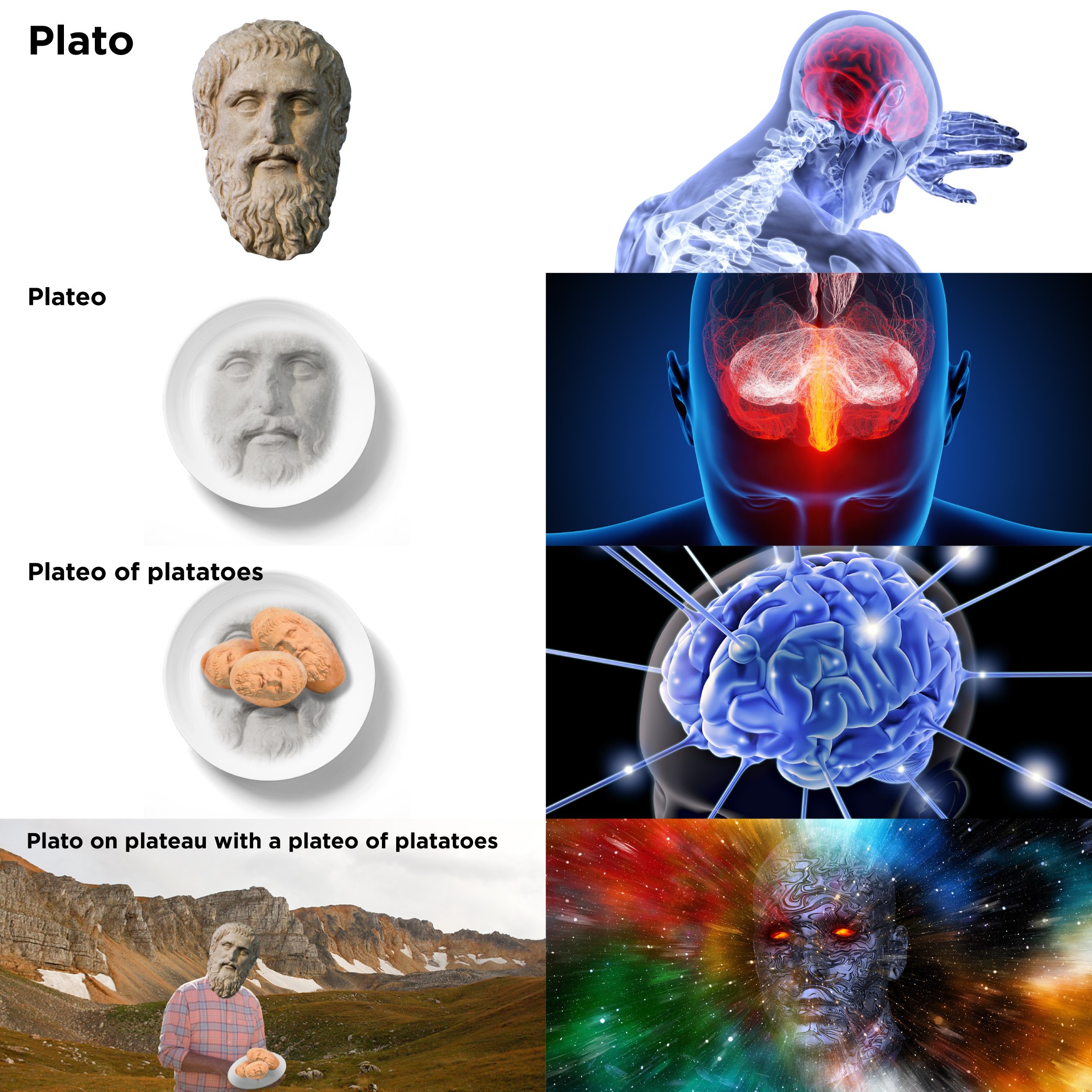 Plato Meme