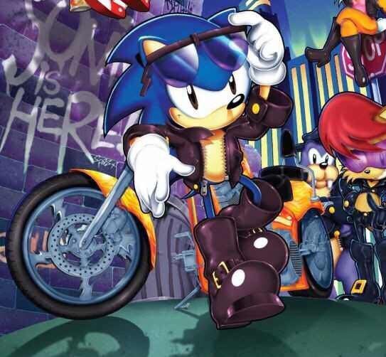 Shadow The Hedgehog On A Motorcycle