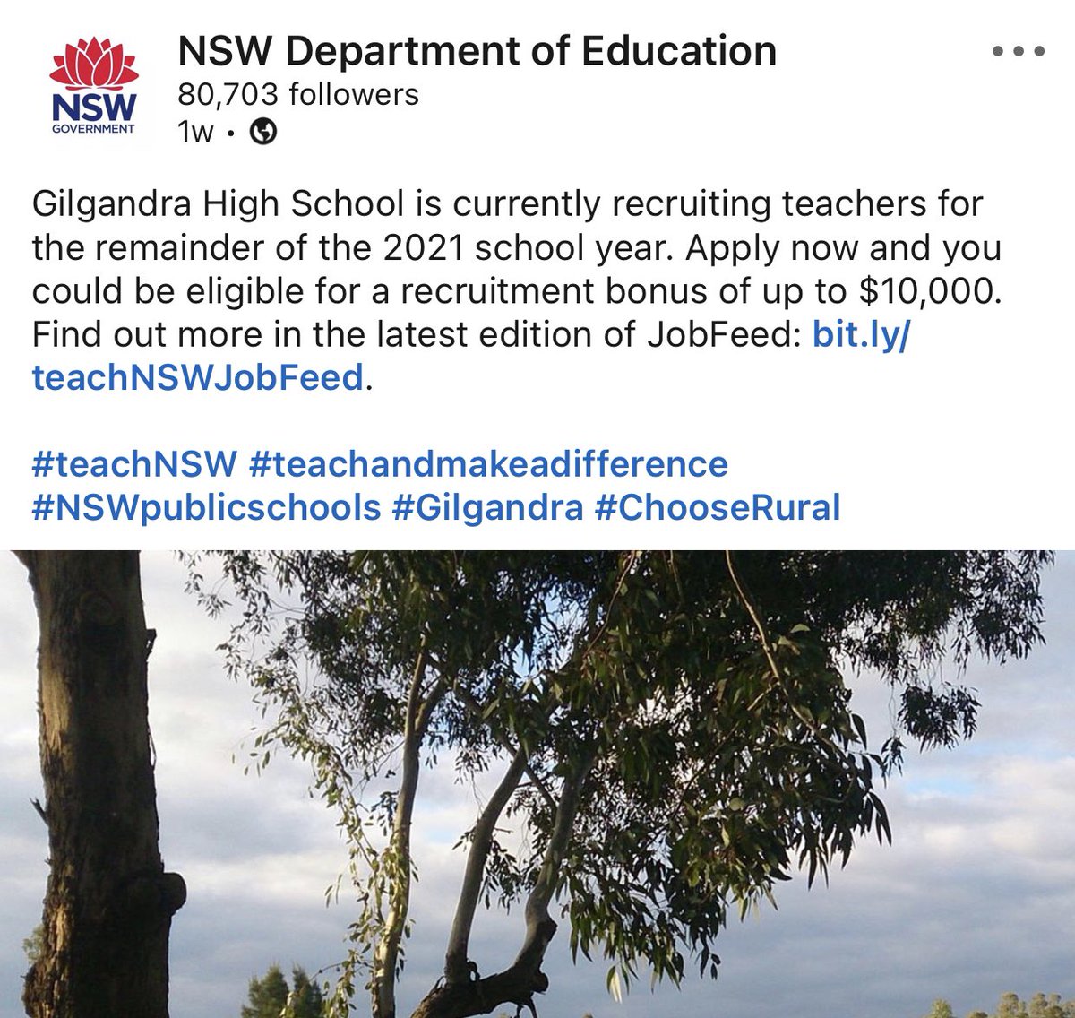 Jason Gerke @jasongerke_ Timeline, The Visualized Twitter (Analytics)