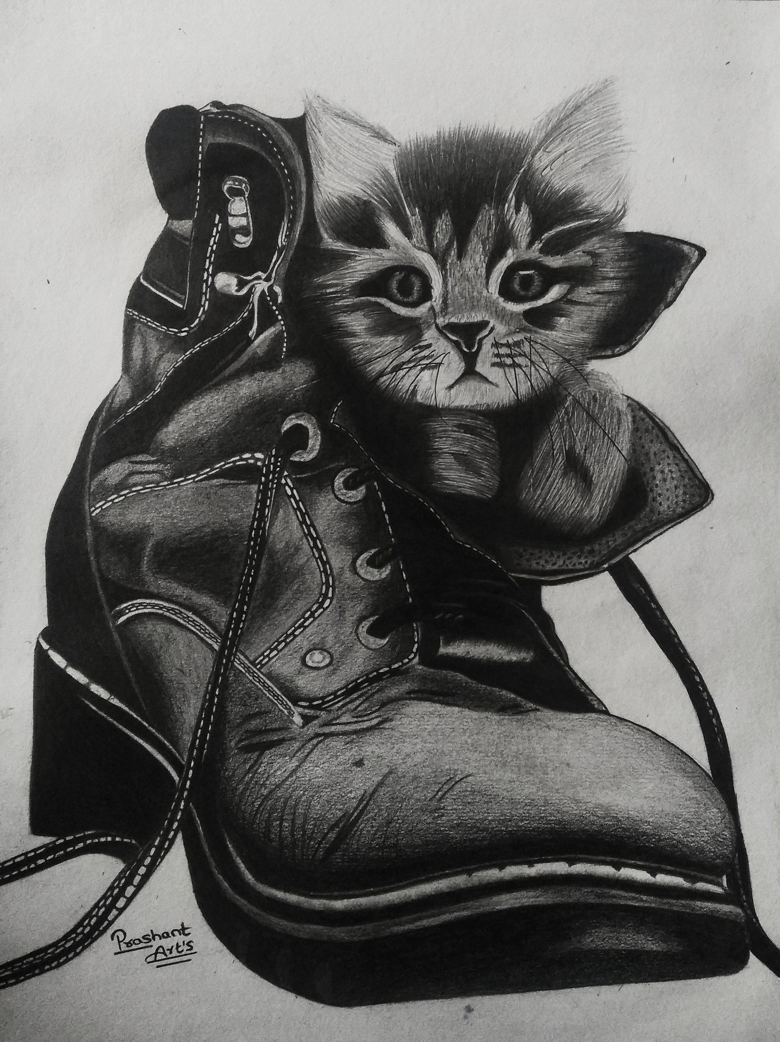 Hyperrealism Drawing Animals