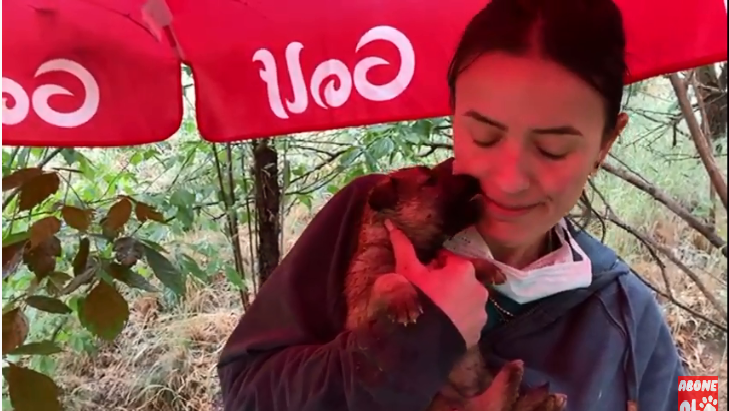 Büşra Nur Bulut (@busra_nur_bulut) | Twitter