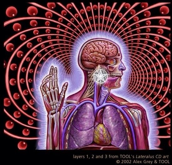 Tool Lateralus God