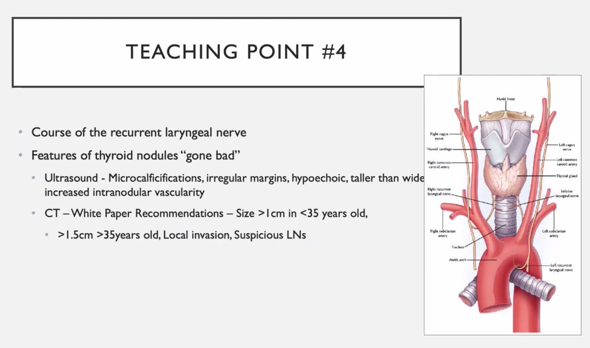 Anatomy Of Recurrent Laryngeal Nerve RLN : Recurrent Laryngeal Nerve