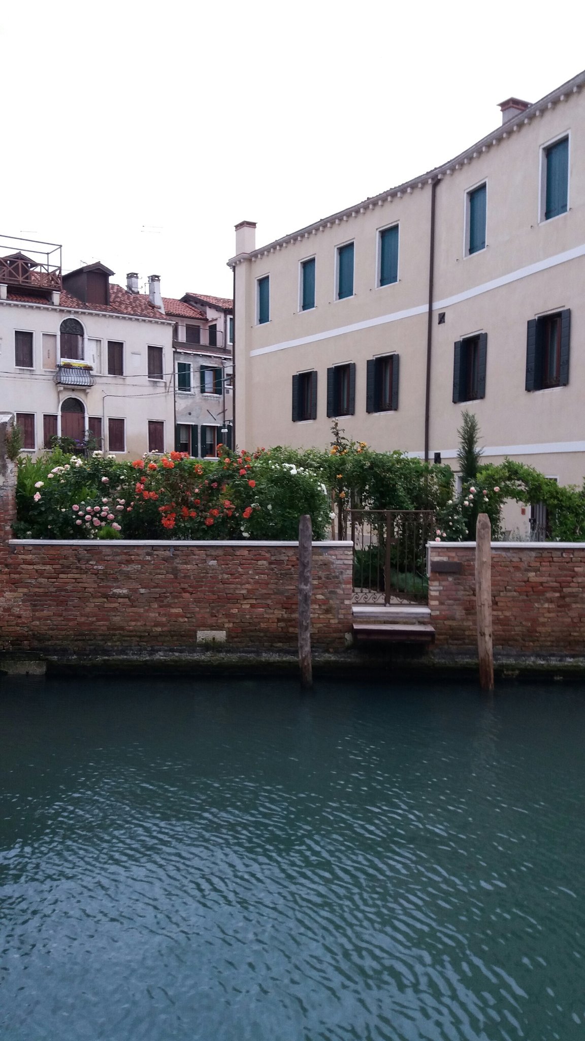 laura nardini on Twitter: "😃 Per te cara 💖 Marisa! 😀 Prime rose di maggio a Venezia! 😍💞🍃🌹💕🍃🌼💕🍃🌸💕 ...