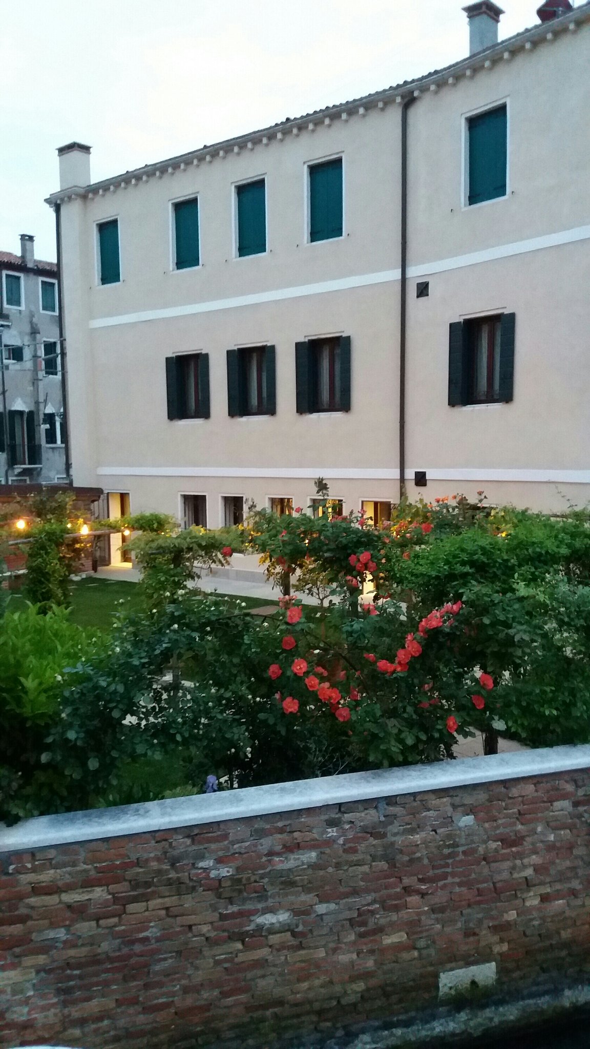 laura nardini on Twitter: "😃 Per te cara 💖 Marisa! 😀 Prime rose di maggio a Venezia! 😍💞🍃🌹💕🍃🌼💕🍃🌸💕 ...