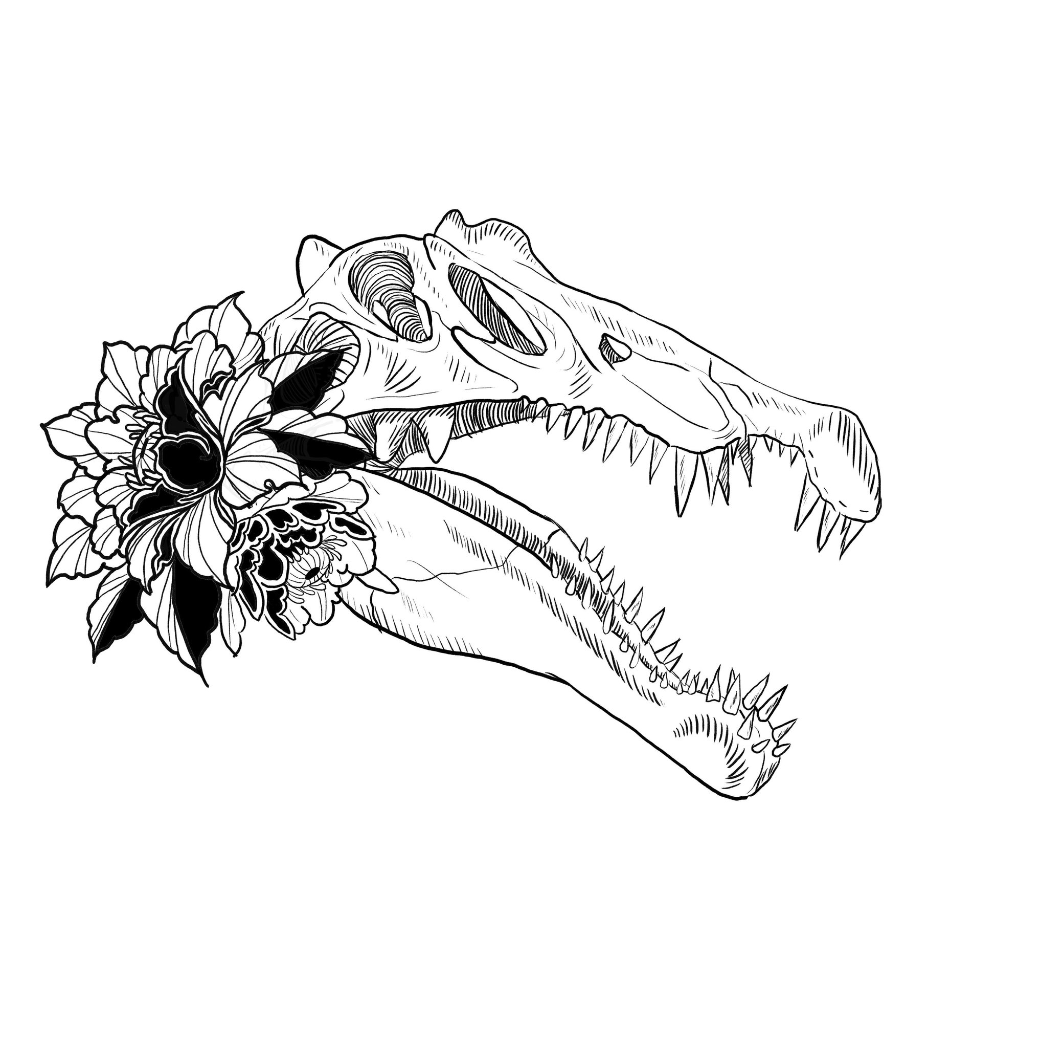 Spinosaurus Skull Drawing
