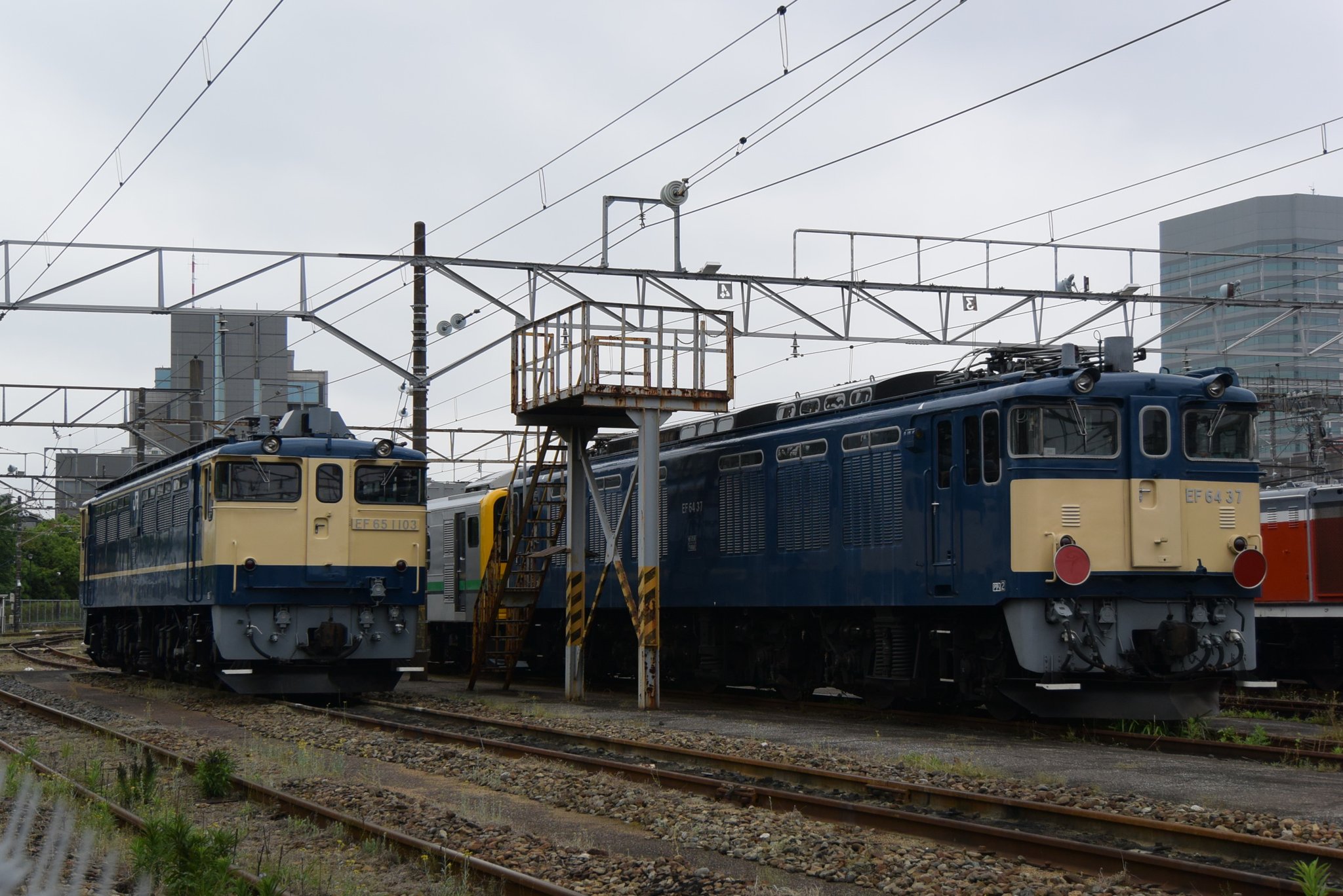 写真垢 on Twitter: "E493系+EF64 37@田端運転所 中央線で死重訓練の試運転が行われる。…