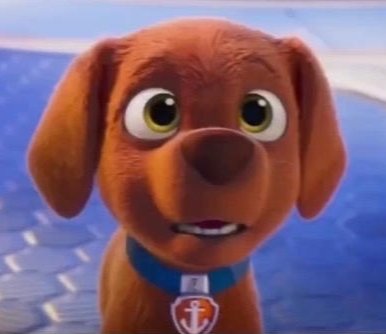 Alex Thorne Paw Patrol