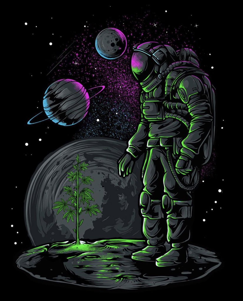Marijuana Astronaut