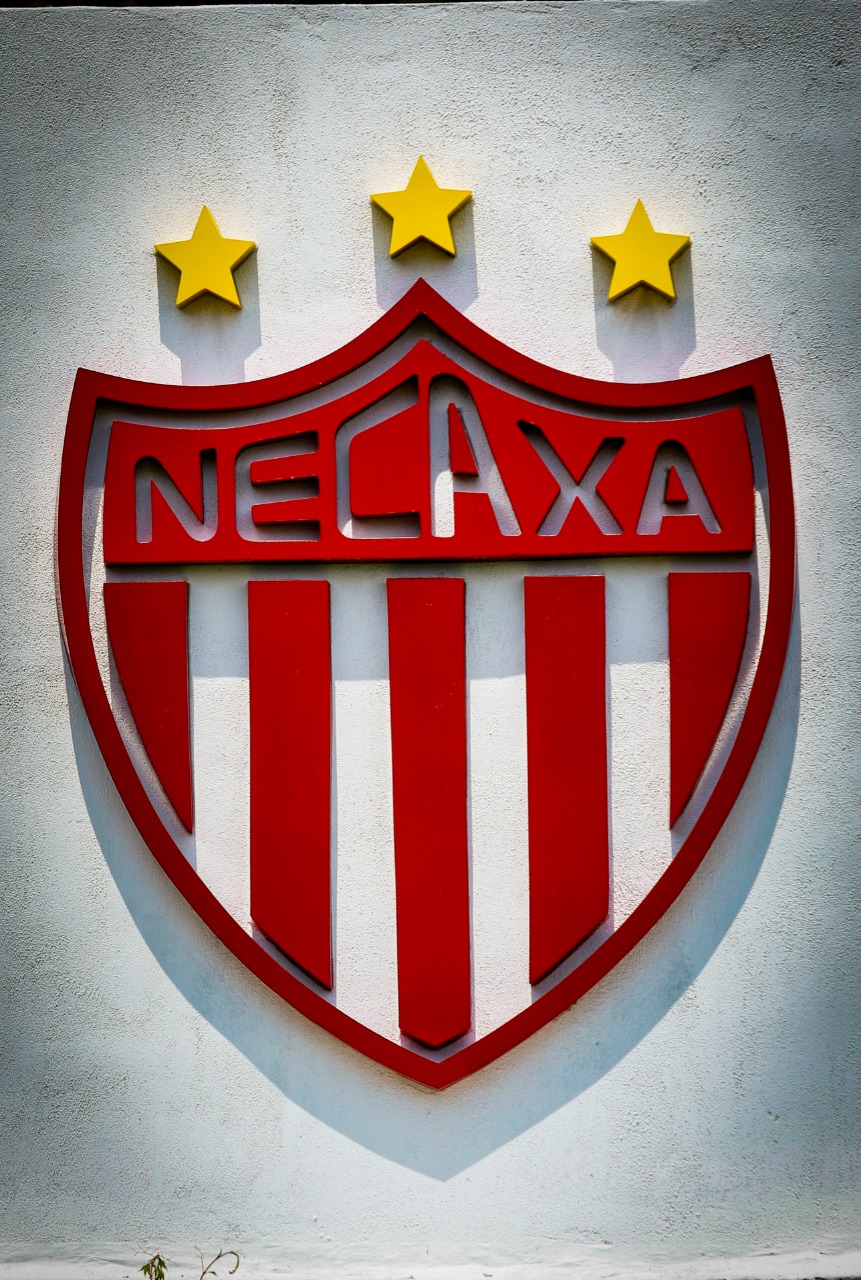 Rayos Del Necaxa Logo