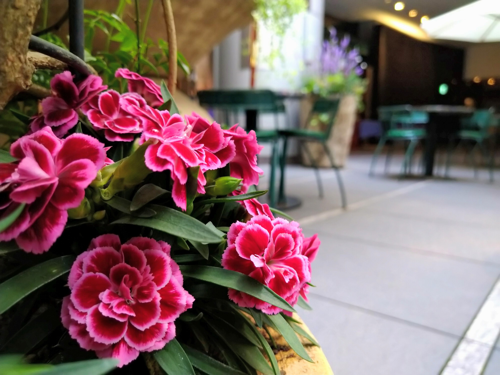 Bunkamura公式ツイッター on Twitter: "おはようございます☀️ 本日5/18(火)の開催ラインナップはこちら ⇒https://t.co/Bynoehfokh # ...