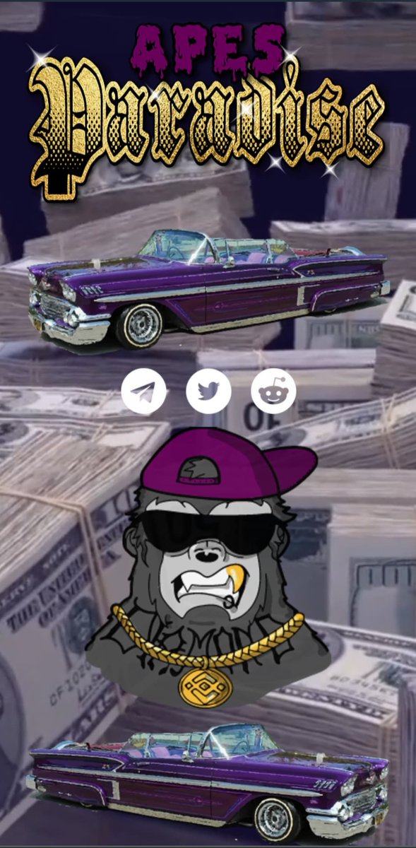 Apes Paradise (@ApesParadise) | Twitter