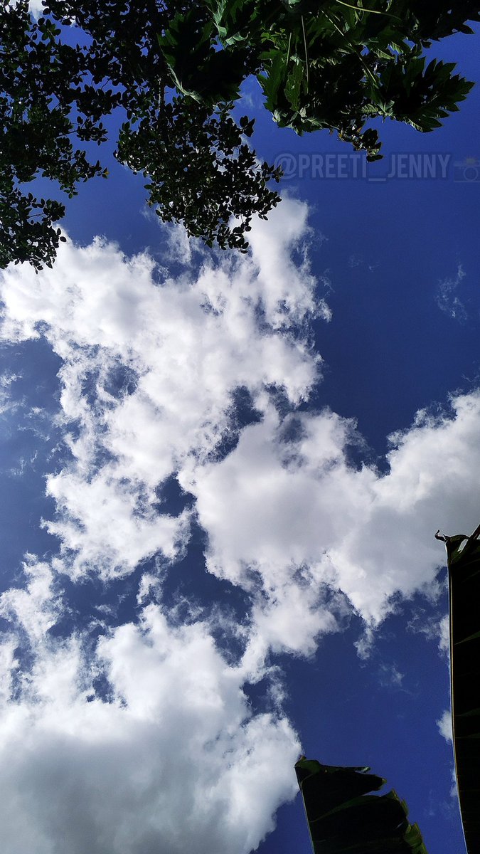 saroj barik (@sarojbarik0001) | Twitter