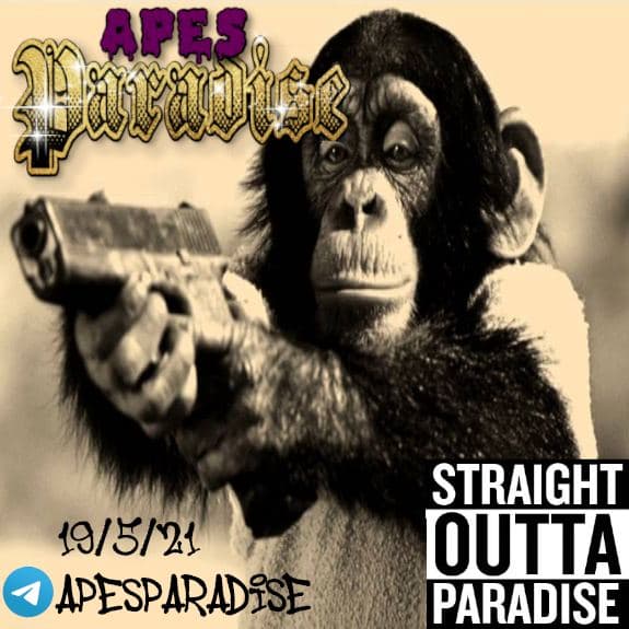 Apes Paradise (@ApesParadise) | Twitter