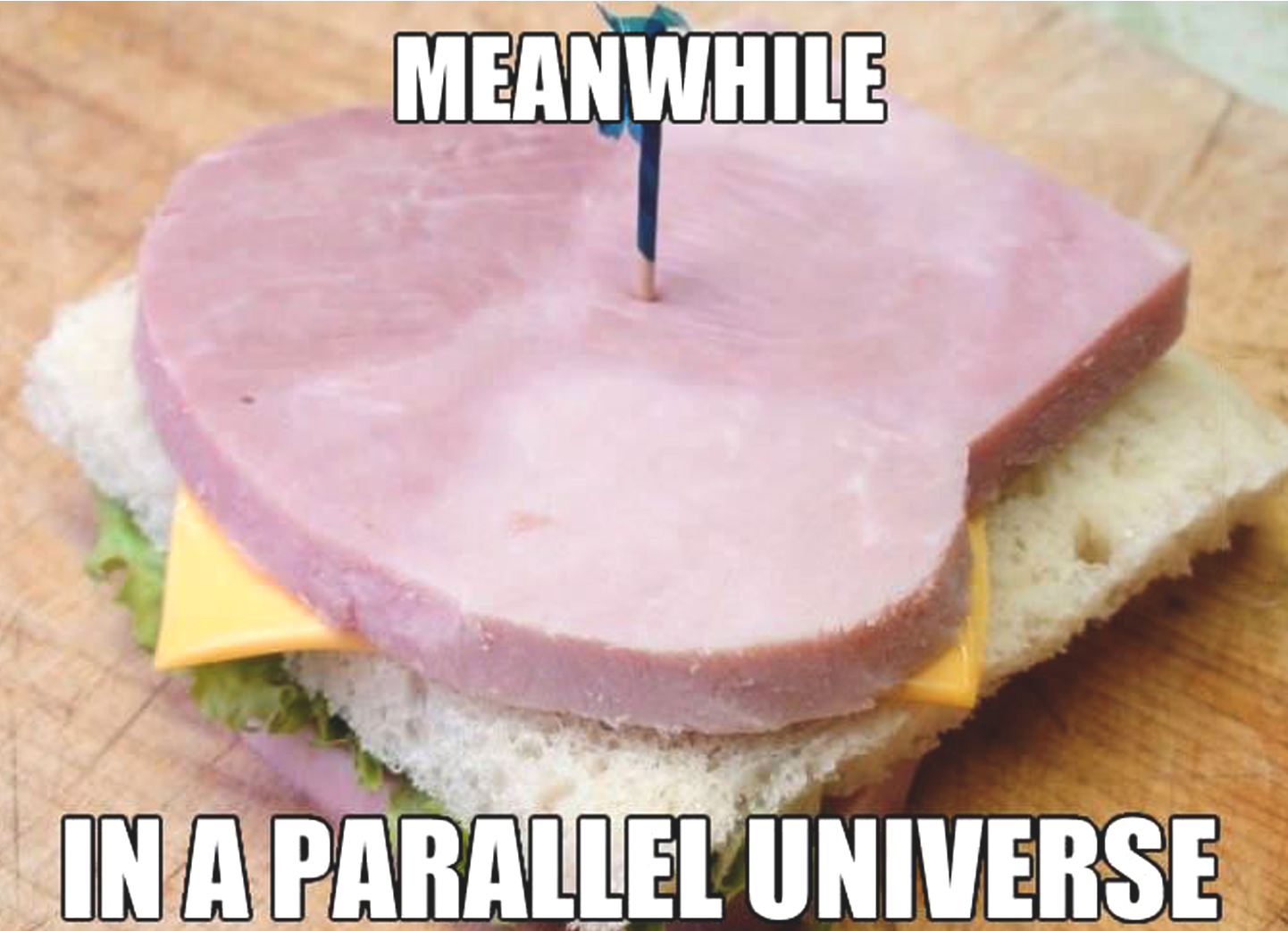Sammich Memes