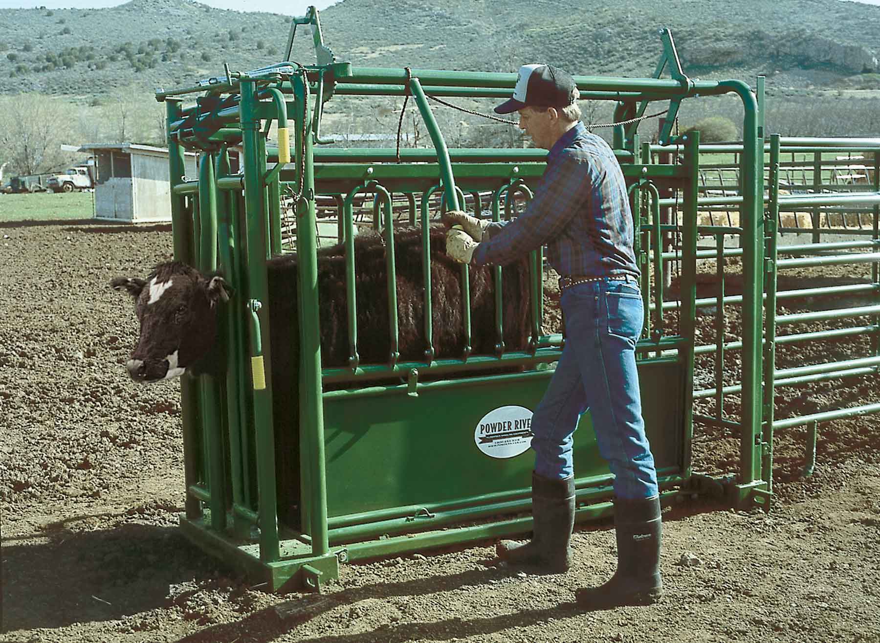 Temple Grandin Inside Squeeze Machine