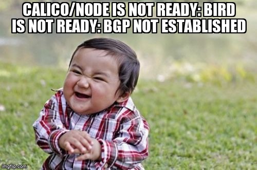 Meme Overflow on Twitter: "calico/node is not ready: BIRD is not ready: BGP not established ...