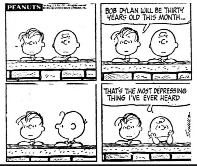 Peanuts Math Comics