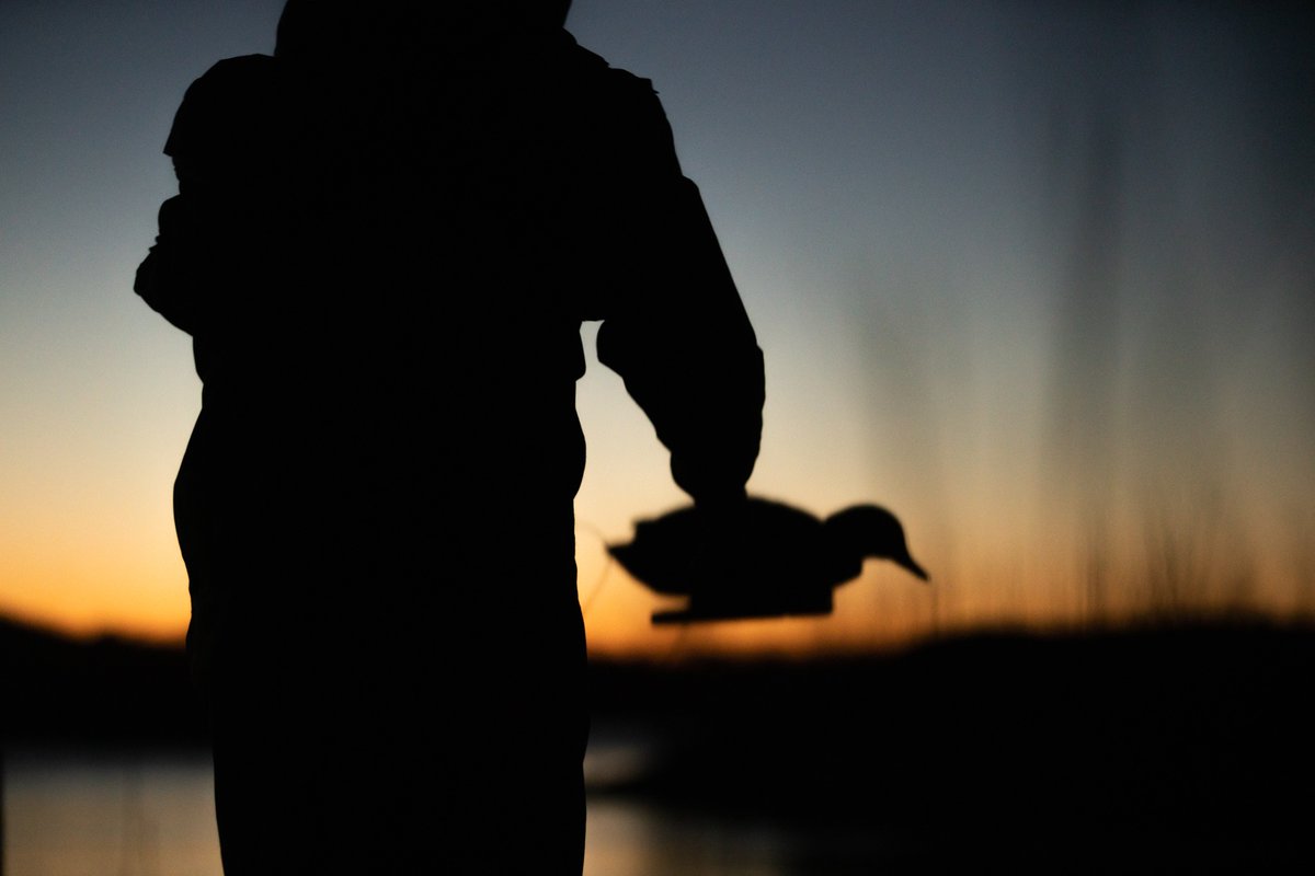 Zink Calls Avian X (@ZinkCallsAvianX) / Posts / X