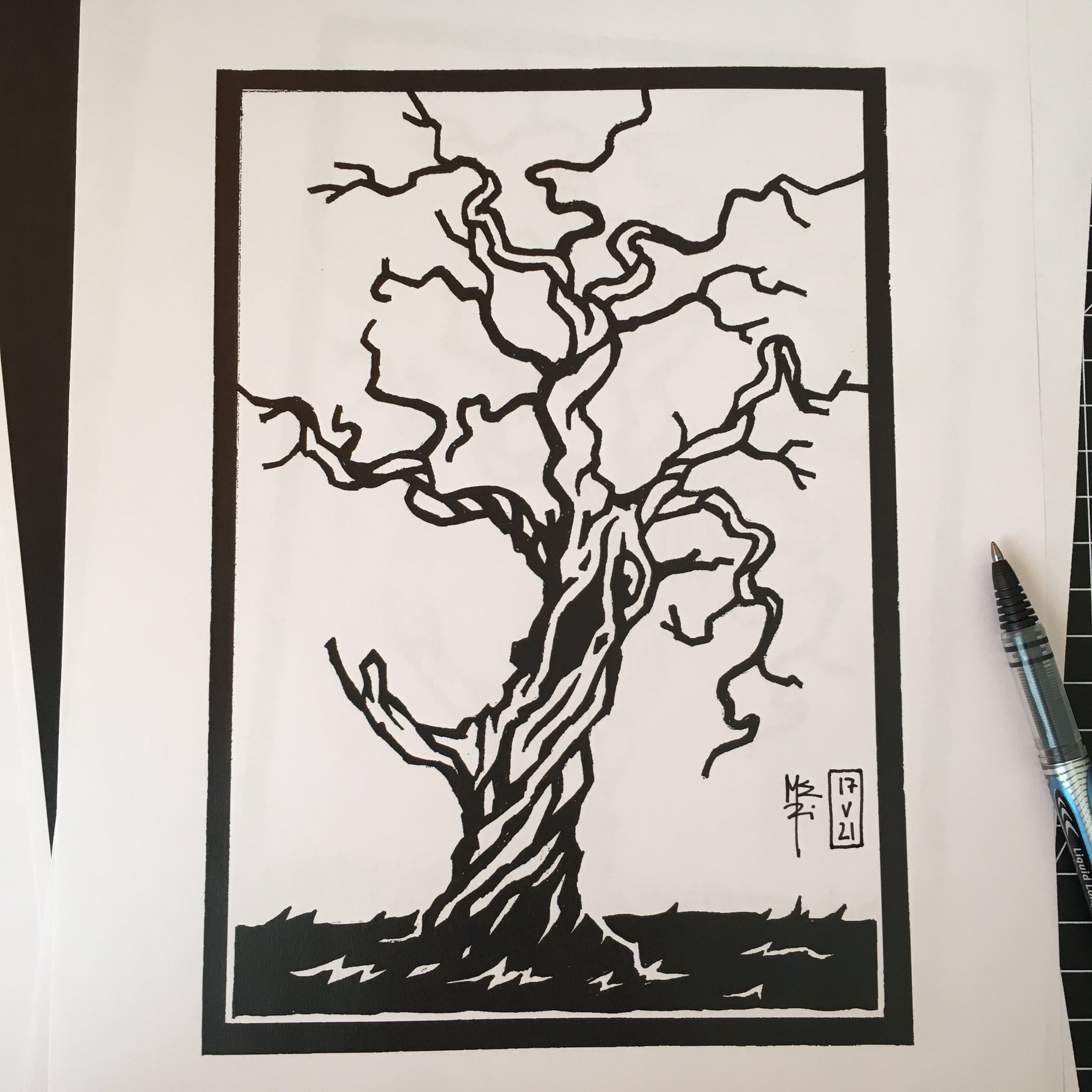 Twisted Old Tree Drawing