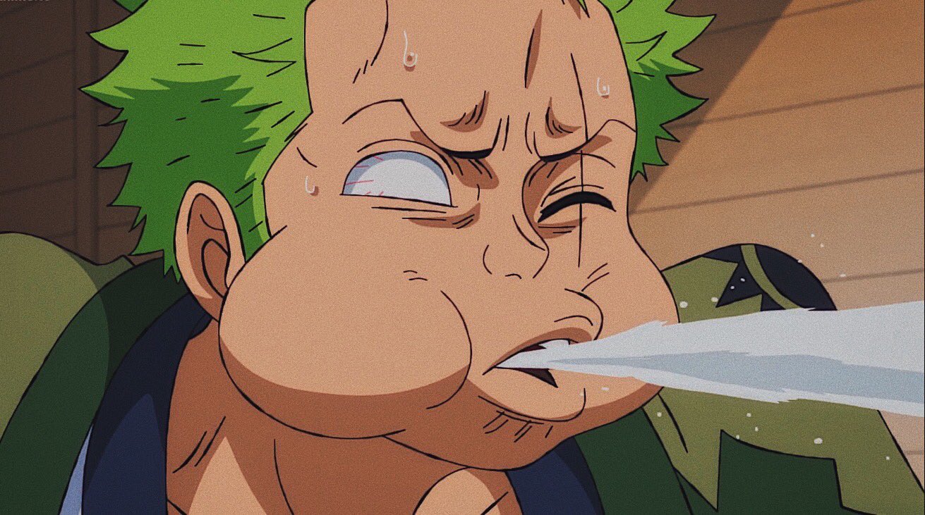 Zoro One Piece Funny Face