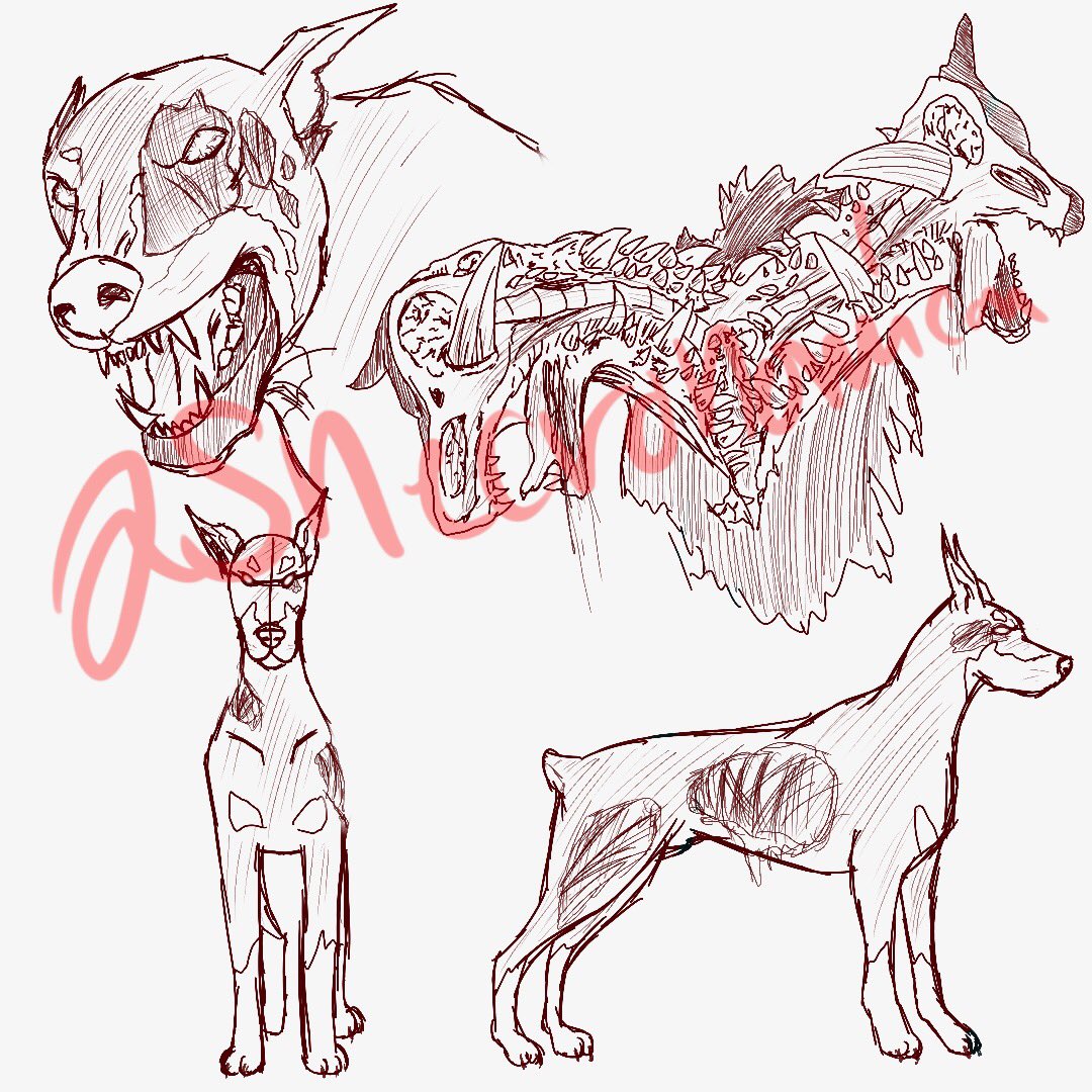 Resident Evil Dog Drawing