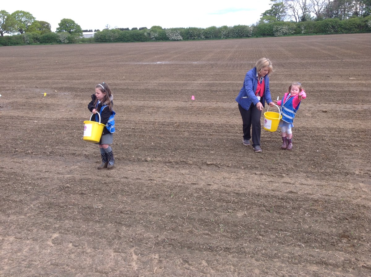 Vision and Values – Rufforth Primary School