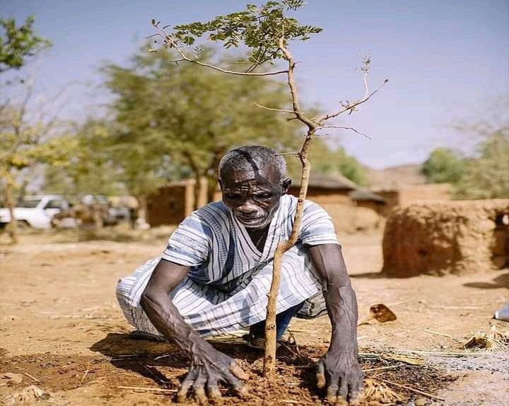 👑 ️BRAVE💟HEART ️👑 (@Aliyu_DK_) | Twitter