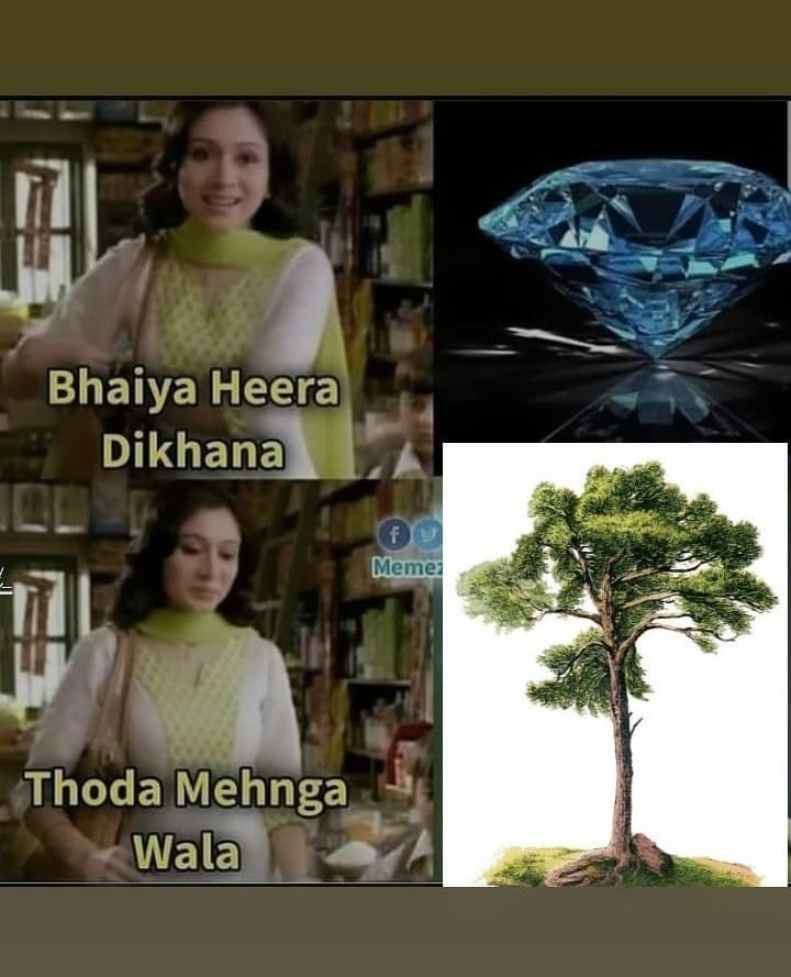 Siya Vats (@VatsSiya) | Twitter