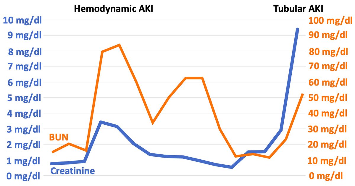 Another one for the AKI Consult series 🧵: 👵 w group 4 Pulmonary ...