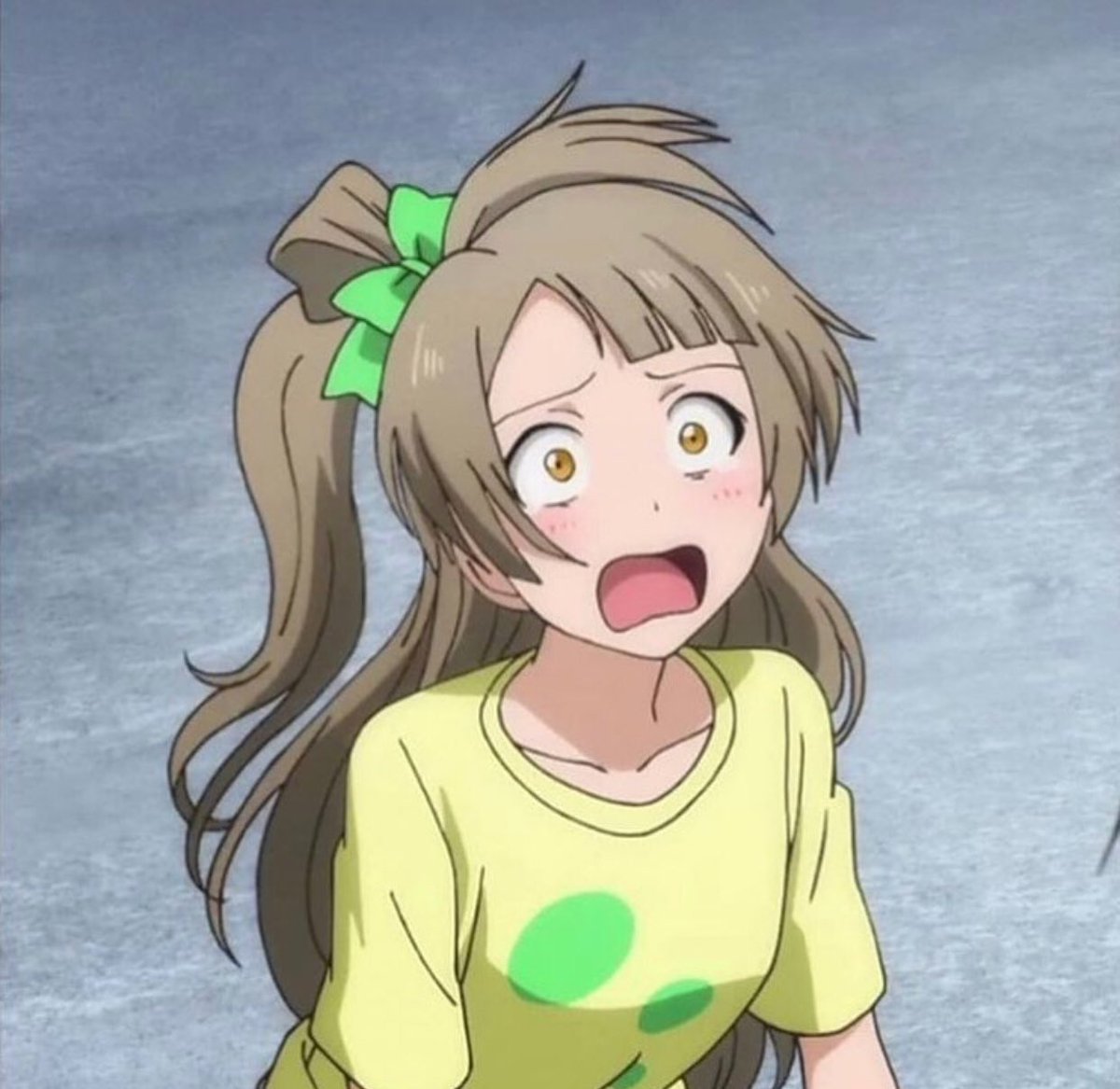 CatSoc_Raphi (@CatSoc_Raphi) | Twitter