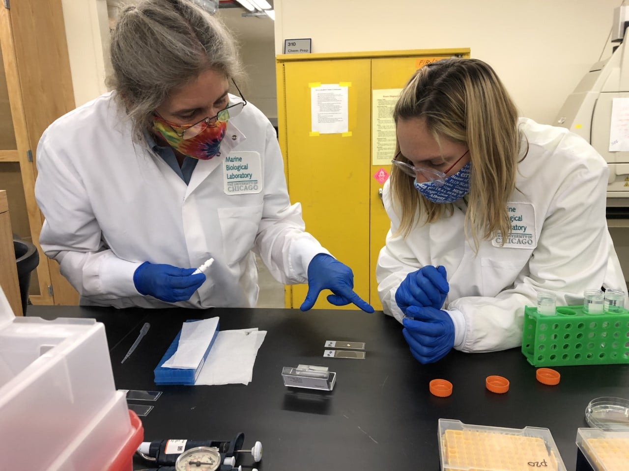 Marine Biologist Lab